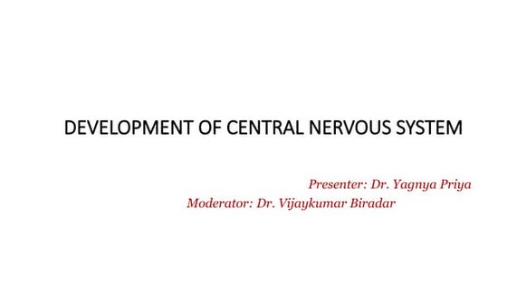 Neurulation , Harvard University Embryology | PPTX
