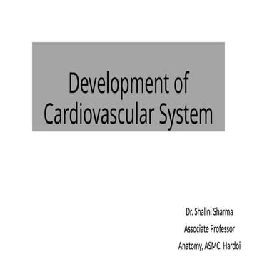 development of CVS development of cardiovascular system | PPT
