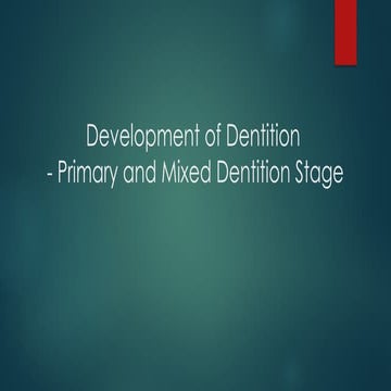 development of dentition- Primary and mixed dentition stages | PPTX