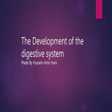 the fact about development of digestive system.pptx
