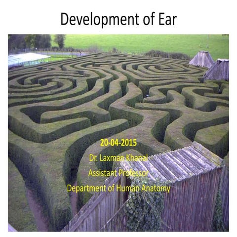 Development of Ear | PPTX