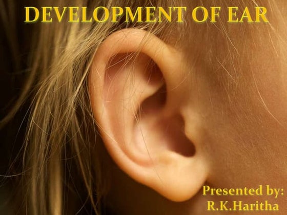 HIS 120 Embryology of the Inner Ear | PPT