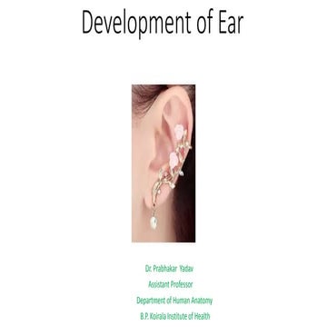 Development of ear | PPTX