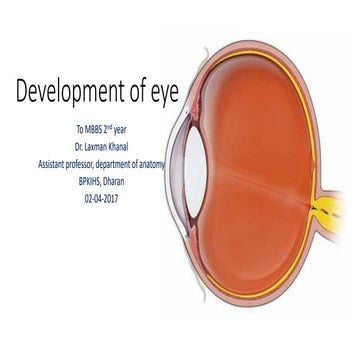 Embryology of the eye | PPTX