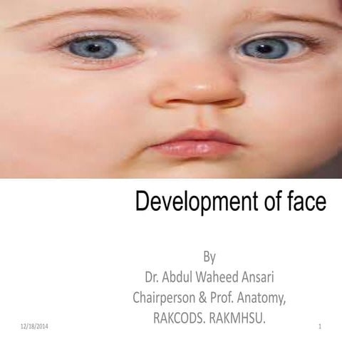 Development of face | PPTX