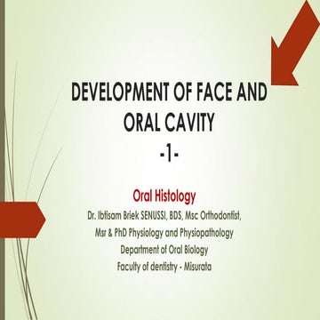 Development of face | PDF