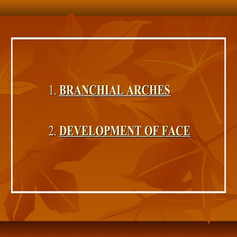 Development of face | PPT