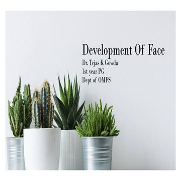 Development Of Face by Dr.Tejas K Gowda post grad student | PPTX