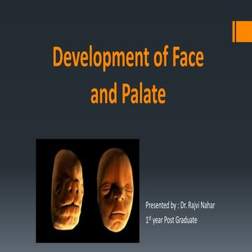 Development of face and palate | PPTX