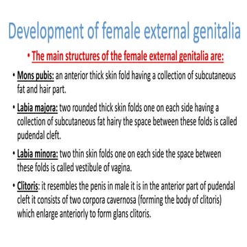 Development of female external genitalia | PPT