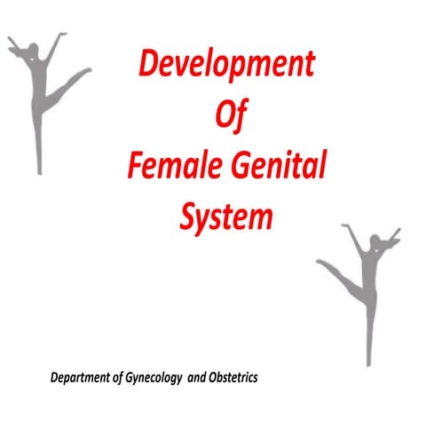 Development of female genitalia | PPTX