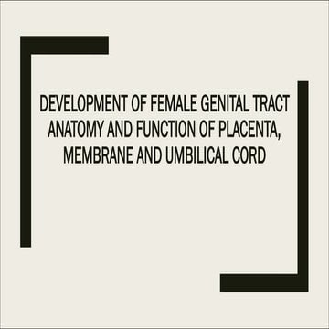 Development of female genital tract | PDF