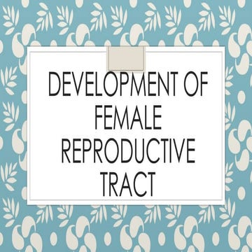Development of female reproductive tract.pptx