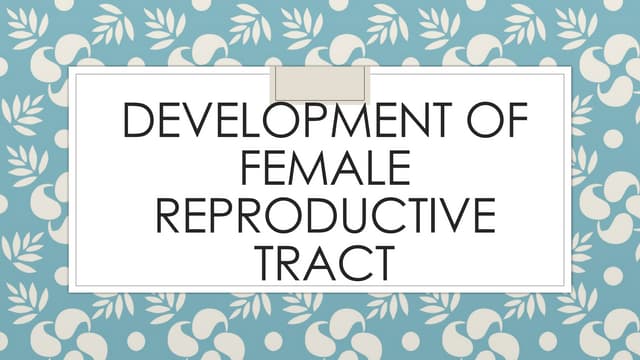 Development of the female reproductive system | PPTX