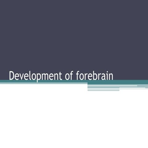 Development of forebrain by DR.ARSHAD | PPTX