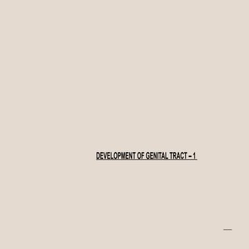 DEVELOPMENT OF GENITAL TRACT – 1 SLIDES(1) (1).pptx