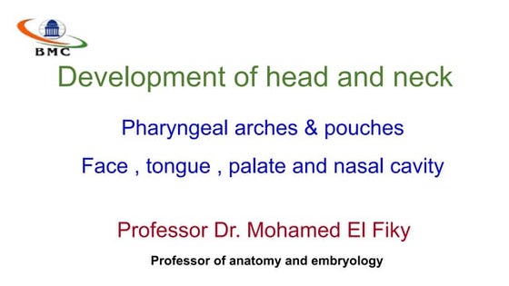 anatomy of Urinary bladder | PPT