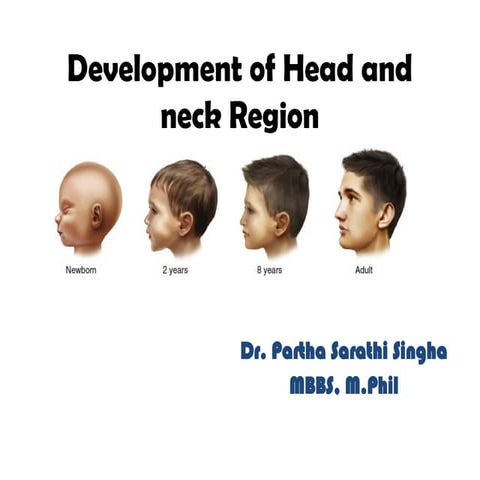 Development of Head and neck region.pptx