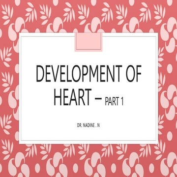 Development of heart – part 1 edited.pptx