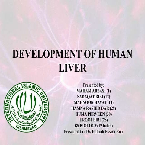 Development of human liver | PPTX