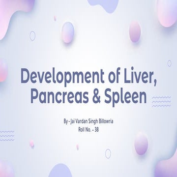 Development of liver, pancreas & spleen - ROLL NO. 38.pptx