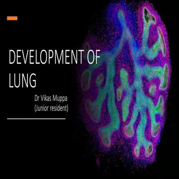 DEVELOPMENT OF LUNG.pdf