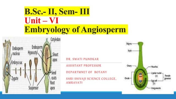 Synergids And Its Functions Reproductive Biology Of Angiosperms Ppt