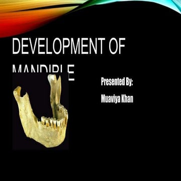 Development of mandible by muaviya | PPTX
