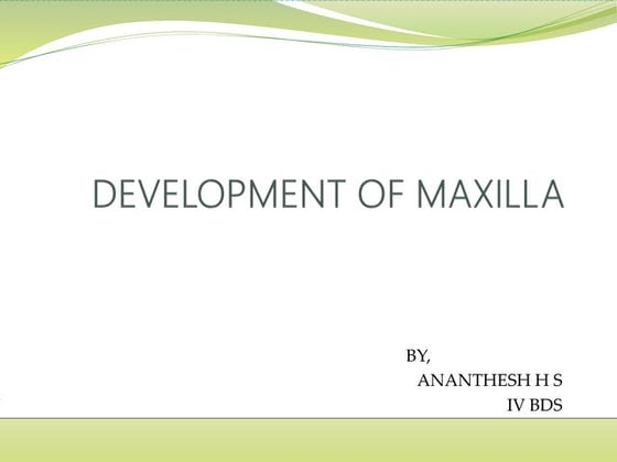 Development & Growth of Maxilla | PPT