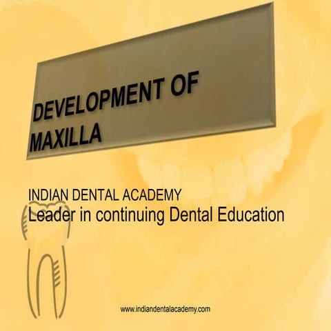 Development of maxilla and mandible/prosthodontic courses | PPTX