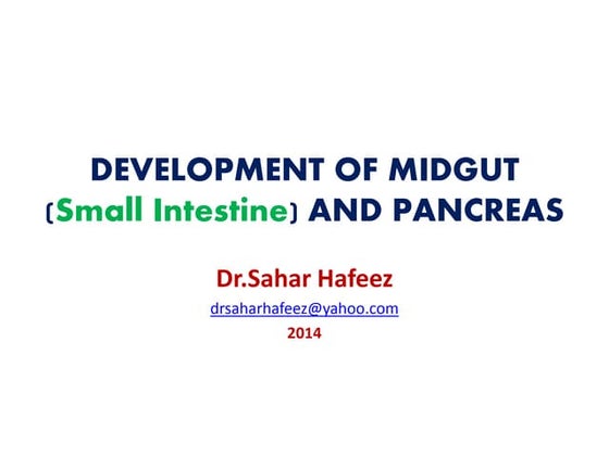 Development of Midgut & Hindgut | PPT