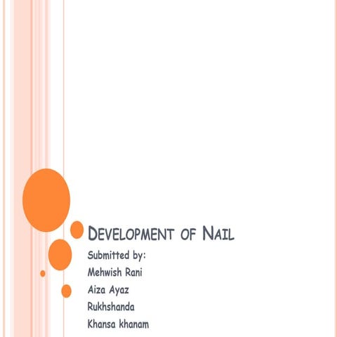 Development of nail | PPTX