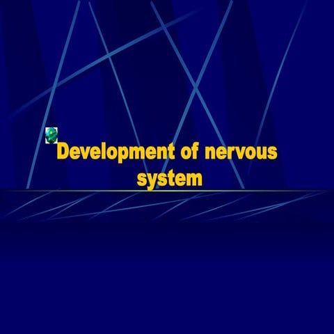 Development of nervous system - Copy (1).pptx
