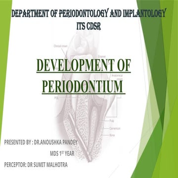 DEVELOPMENT_OF_PERIODONTIUM[1] anoushka.pptx