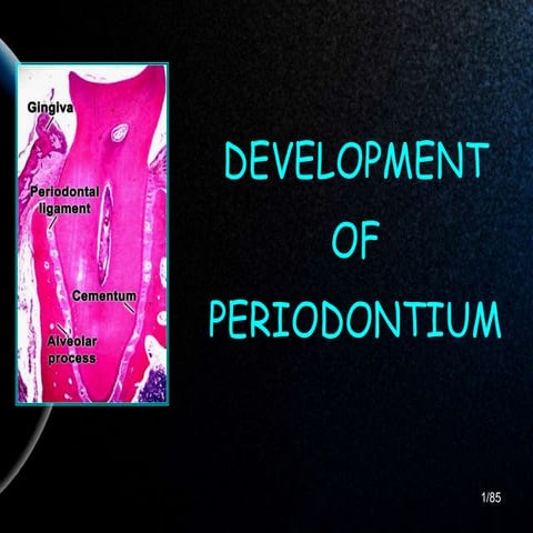 development of periodontium.ppt