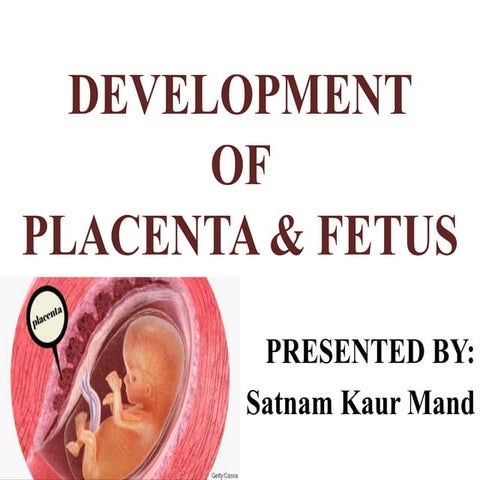 Placenta structure and functions | PPT