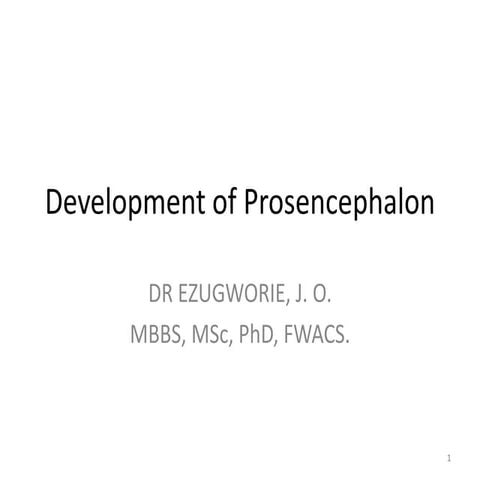 Development of prosencephalon.pptx college of medicine unec | PPT