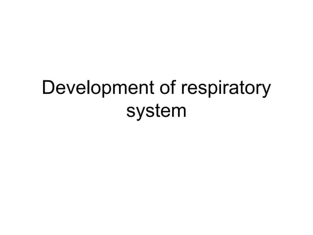 Chapter 1 fetal lung development | PPTX