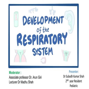 development of respiratory sysytem.pptx