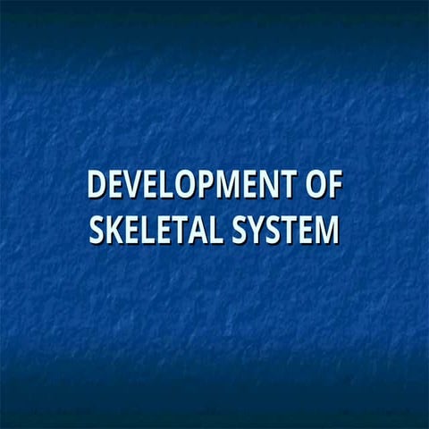 DEVELOPMENT OF SKELETAL SYSTEM mbbs .ppt