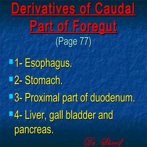 Development of Stomach (Special Embryology) | PPS