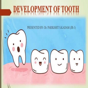 Development Of Teeth | PPTX