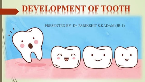 Development of tooth | PPT