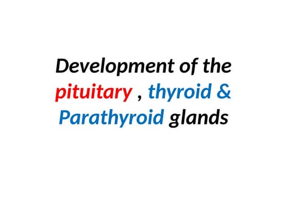 Development of Thyroid Gland (Special Embryology) | PPS