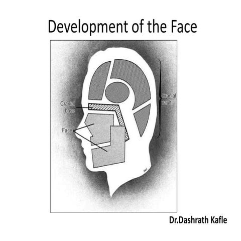 Development of the face | PPTX