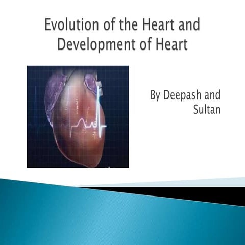 Development of the heart | PPTX