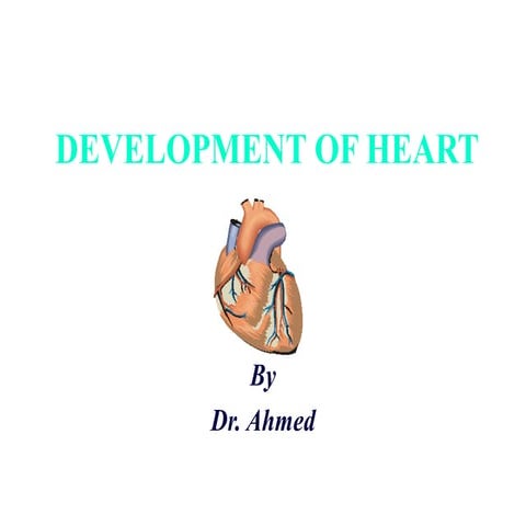 Development of Heart (Embryology) | PPTX