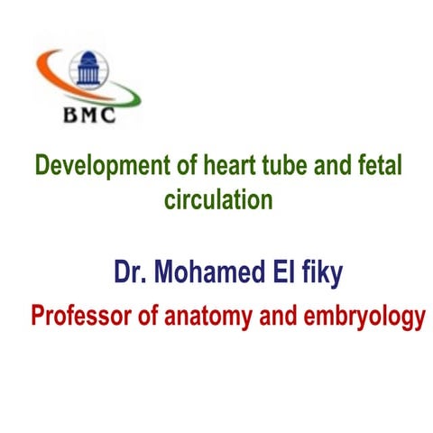 Development of Heart (Embryology) | PPTX