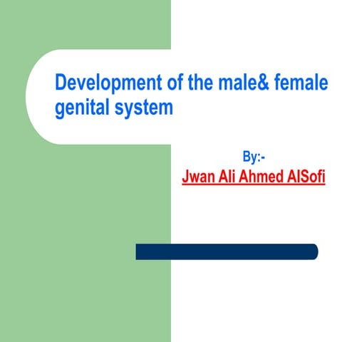 Development Of The Maleand Female Genital Systempptx