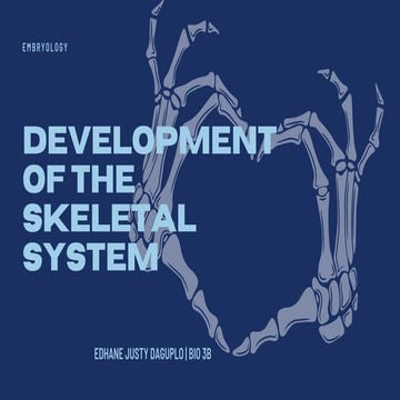 Development of the Skeletal System in Embryology | PDF